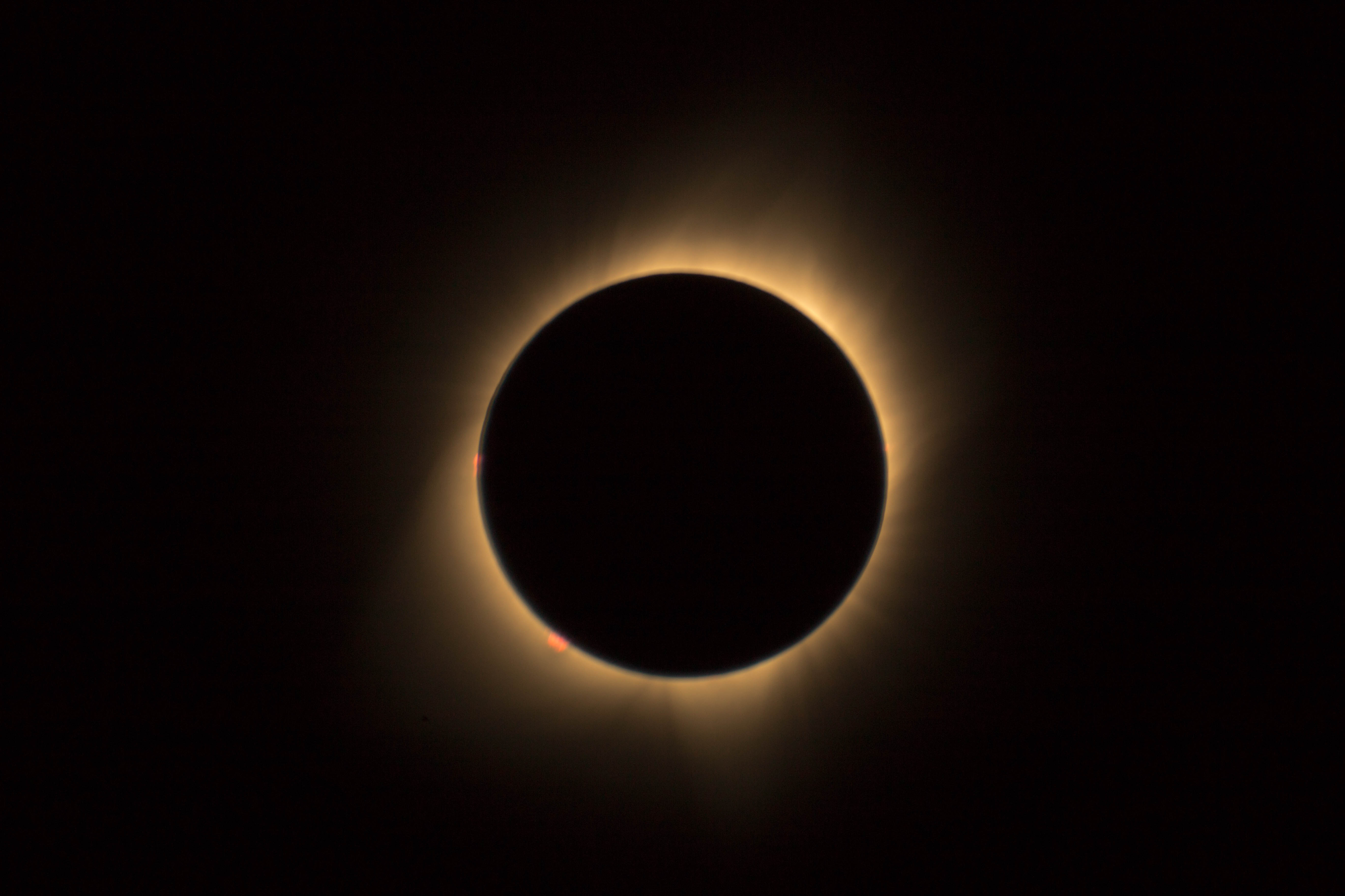 To Know is to Love: The Wisdom of A Solar Eclipse and the Cosmic Doors ...